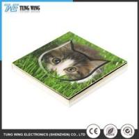 China Customized Size ABS Material CE Certified Sound Button Board Talking Educational Toy Book for sale