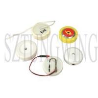 China ABS Plastic CE & RoHS Certified Sound Module with Custom Sound Recording for Children's Voice Book Module for sale