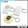 China Custom Sound Recording Sound Module with Flash of Light and Remote Control for Children's Sound Board Educational Toy for sale