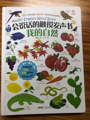 China 83 Keys WCA 75DB Children Audio Books 29*7mm Speaker for sale