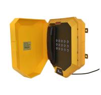 China Wall Mounting IP66-IP67 Weatherproof Industrial Telephone with Wireless Lan Network for sale