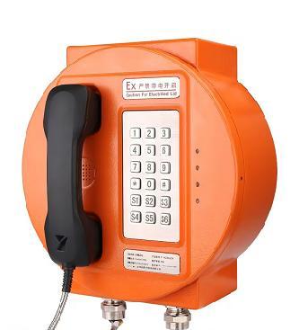 China Outdoor IP66 Aluminium Alloy Enclosure Explosion Proof Telephone with Strong Noise Canceling for Hazardous Areas for sale