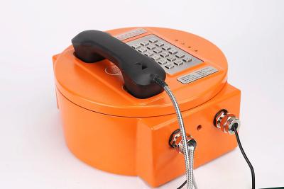 China Explosion Proof Telephone with Strong Noise Canceling IP66 Protection Grade and 30W Built-in Amplifier for Hazardous Areas for sale