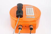 China IP66 Protection Aluminium Alloy Enclosure Strong Noise Canceling Explosion Proof Telephone for Hazardous Areas for sale