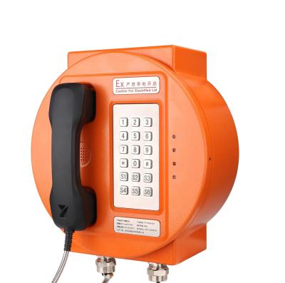 China IIC Explosion Proof Telephone with Aluminium Alloy Enclosure, Strong Noise Canceling, and 30W Built-in Amplifier for Hazardous Areas for sale