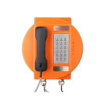 China Outdoor Public Call Station Analog Explosion-Proof Telephone with IP66 Protection, Stainless Steel Keypad, and 30W Built-in Amplifier for sale