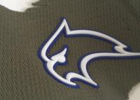 China Eco-Friendly 3D Raised Silicone Heat Transfer Clothing Labels Matt Color Custom Logo for Sportswear for sale