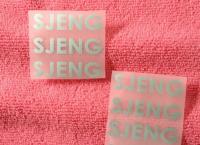 China 1mm Thickness 3D Silicone Heat Transfer Labels for Sportswear - 150°C Application Temperature, 25+ Wash Cycles for sale