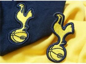 China Custom Embroidered Sports Patches & Team Badges - 500 Piece MOQ, 7-15 Day Production for sale
