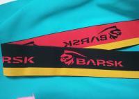 China Custom Nylon Spandex Embossed Underwear Jacquard Waistband - 10-50mm Width, 3000m MOQ for sale
