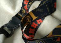 China Custom F1 Polyester Team Lanyard 2.5×90cm with Sublimation Printing for Promotional Use for sale