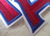 China Multicolor Embroidered Soccer Jersey Brand Label Patches 10mm Hot Melt Adhesive 160C Heat Transfer for sale