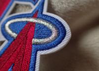 China Multicolor Embroidered Soccer Jersey Brand Label Patches 10mm Hot Melt Adhesive 160C Heat Transfer for sale