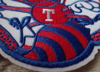 China 3D Washable Custom Embroidery Heat Transfer Patch for Ski-Wear - 300x300mm Max Size, 160°C Application for sale