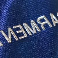 China Custom Hologram TPU Heat Transfer Labels - 3D Soft Logo for Garments with 2-3 Color Options and Custom Sizes for sale