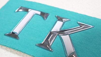 China 3D Embossed TPU Heat Transfer Label with Hologram Effect for Clothing Custom Logo for sale