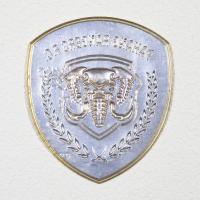 China Custom TPU Embossed Badge 3D Heat Press Team Patch for Sportswear OEKO-TEX for sale