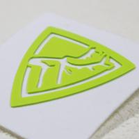 China 3D Screen Printing Heat Transfer Labels for Garment Sportswear Custom Size 4.5x2.5cm for sale