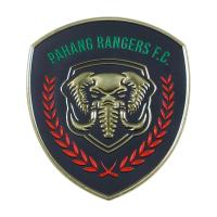 China Custom TPU Heat Transfer Badge 4.5x2.5cm for Sportswear Team Logo Patch with Hot Melt Adhesive for sale