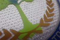 China Custom Tatami Garment Patches with Colorful 3D Logo for Jackets and Coats for sale