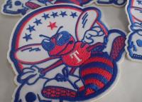 China OEKO Washable Custom Embroidered Patches for Caps and Bags - 5-7 Day Sample Service with Multiple Backing Options for sale