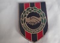 China Custom Embroidered Patches 3D Iron On Sew On Clothing Polyester Washable OEM for sale