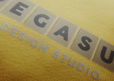 China Custom Heat Transfer Patches SGS Certified Clothing Labels 500pcs MOQ for sale