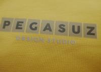 China Custom Heat Transfer Patches SGS Certified Clothing Labels 500pcs MOQ for sale