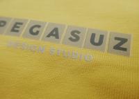 China Custom Heat Transfer Patches SGS Certified Clothing Labels 500pcs MOQ for sale
