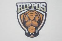 China High Frequency Embossed TPU Clothing Patch Labels for Sports Garment Custom Logo 1000 PCS MOQ for sale