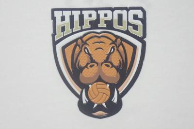 China High Frequency Embossed TPU Clothing Patch Labels for Sports Garment Custom Logo 1000 PCS MOQ for sale