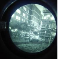 China 36.75mm Diameter 300m Effective Visual Range Blemished Image Intensifier Tube Gen3 Fom1200+ Fom1400+ Pvs 14 Pvs 31 for sale