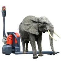China easy operation1.5 t  1500kg   Electric Pallet truck DC motor 24V for sale