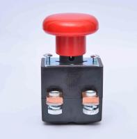 China Easy to install 250 A 96V Electrical Round Emergency Stop Push Botton Switch ED250P-2 for sale