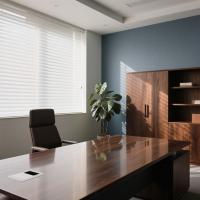 China OEM/ODM Customized Elegant Office Furniture with Solid Wood Frame for Commercial for sale