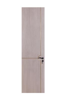 China OEM/ODM CUSTOM QUIET LUXURY INTERIOR DOORS | MATTE, TALL CEILING HEIGHT DESIGNS COMPLETE COLLECTION MINIMALIST BLACK BAR HANDLE VERTICAL CHAMPAGNE ACCENT STRIP, WOOD & BRASS ACCENT OPTIONS for sale