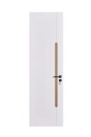 China OEM/ODM CUSTOM QUIET LUXURY INTERIOR DOORS | MATTE, TALL CEILING HEIGHT DESIGNS COMPLETE COLLECTION MINIMALIST BLACK BAR HANDLE VERTICAL CHAMPAGNE ACCENT STRIP, WOOD & BRASS ACCENT OPTIONS for sale