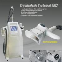 China Fat Frozen Cryolipolysis Machine Beauty Equipments With 8 Inch Screen for sale