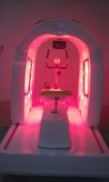 China Heat Therapy Infrared SPA Capsule , Fat Burning Phototherapy Fitness Capsule for sale