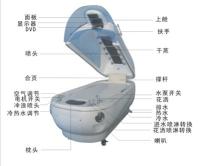 China Wet / Dry Steam For Sauna & Steam Bath Jacuzzi Deluxe Magic Infrared SPA Capsule for sale