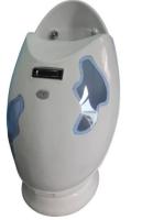 China Oxygen Ions Aromatherapy Steam Infrared SPA Capsule Spectrum Systemic for sale