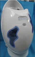 China Oxygen Ions Aromatherapy Steam Infrared SPA Capsule Spectrum Systemic for sale