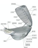 China Spray Steam Infrared SPA Capsule 3C Sea Deposited Machine For Slimming for sale