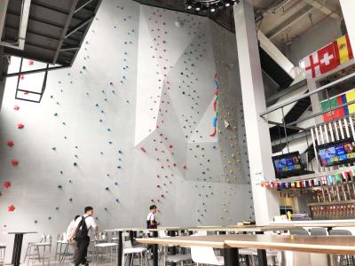 China Outdoor Boulder Speed Climbing Holds Playground Climbing Wall Hand Holds for sale