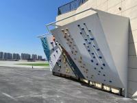 China Corrosion Proof Boulder Climbing Wall Gymnasium Overhang Huge Rock Climbing Wall for sale