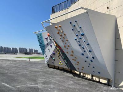 China Corrosion Proof Boulder Climbing Wall Gymnasium Overhang Huge Rock Climbing Wall for sale