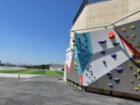 China Professional Indoor Climbing Wall Climbing Holds Custom Moisture Proof for sale