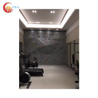 China Gym Fitness Training Climbing Wall Outdoor Playground Climbing Training Board for sale