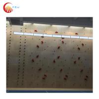 China Outdoor Climbing Holds Training Hold Resin Rock Indoor Climbing Hand Holds for sale