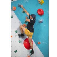 China Kids Training Climbing Wall Board Customized Size Diy Rock Climbing Wall for sale